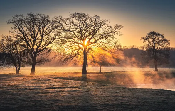 Download wallpaper nature, fog, morning, section nature in resolution ...