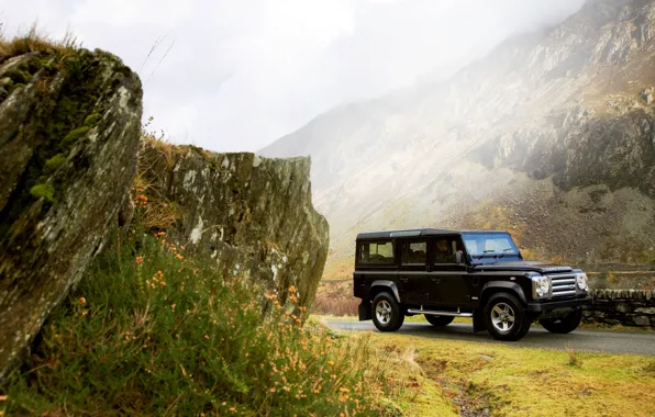 Download wallpaper stump, 2008, Land Rover, Defender, SVX, 60th ...