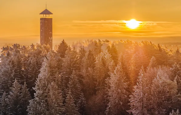 Wallpaper Lithuania, morning, Birstonas observation tower for mobile ...