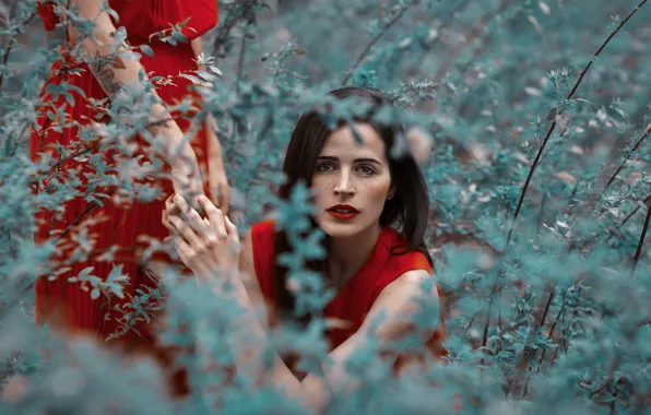 Wallpaper look, background, model images for desktop, section девушки ...