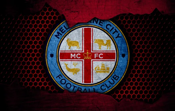 Download wallpaper wallpaper, sport, logo, football, Melbourne City ...