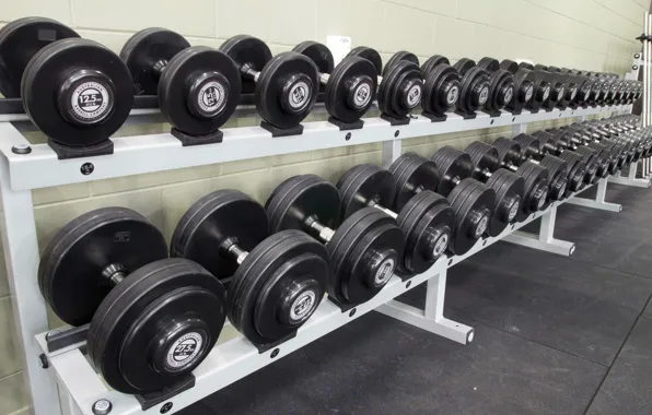 Wallpaper GYM, Fitness, Dumbells for mobile and desktop, section спорт ...