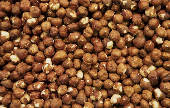 Wallpaper food, cookie, hazelnut for mobile and desktop, section еда ...
