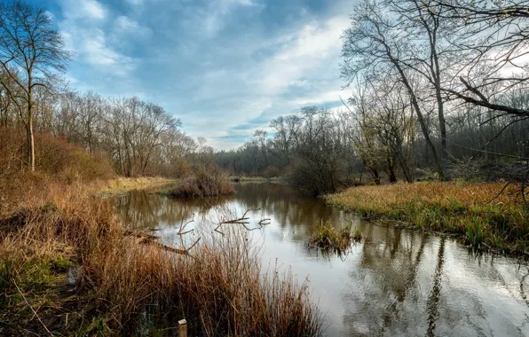 Wallpaper nature, river, spring for mobile and desktop, section природа ...