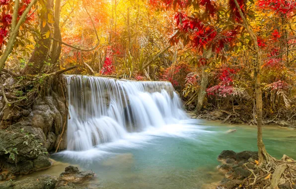 Wallpaper autumn, forest, waterfall for mobile and desktop, section ...