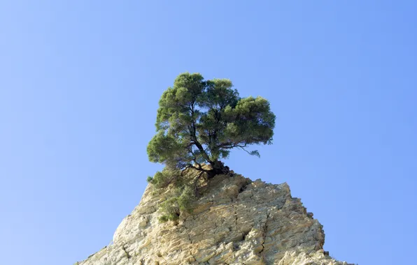 Wallpaper green, sky, blue, rocks, tree for mobile and desktop, section ...