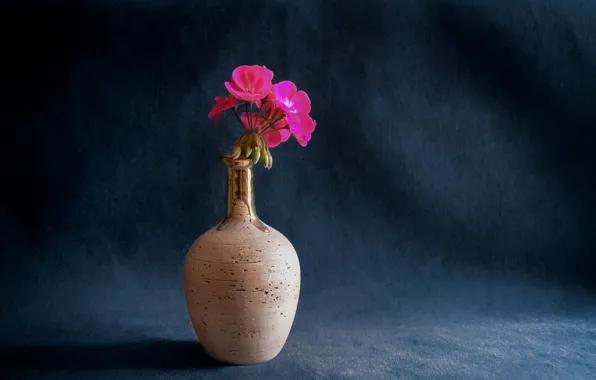 Wallpaper flowers, background, vase for mobile and desktop, section ...