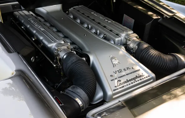 Wallpaper engine, Lamborghini, Lambo, V12, Diablo, Lamborghini Diablo ...