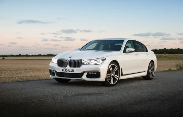 Wallpaper road, field, BMW, white, 730d for mobile and desktop, section ...