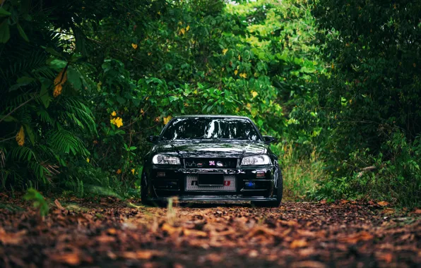 Wallpaper Black, Skyline, R34, Trees, Leaves for mobile and desktop ...