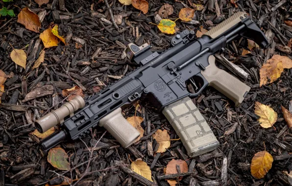 Download wallpaper weapons, rifle, weapon, custom, M16, ar-15, assault ...