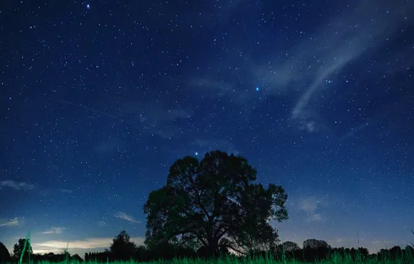 Night Sky Wallpaper Widescreen