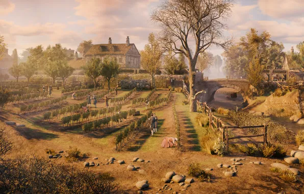 Wallpaper Ubisoft, Assassin's Creed, Assassin's Creed: Unity, Assassin ...