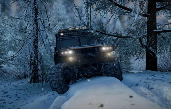 Wallpaper HDR, Wood, Winter, Lights, Snow, Game, Trees, Cold images for ...