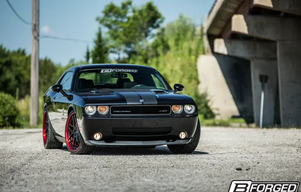 Wallpaper Dodge, SRT8, Challenger, B-Forged, 650 Wheels images for ...