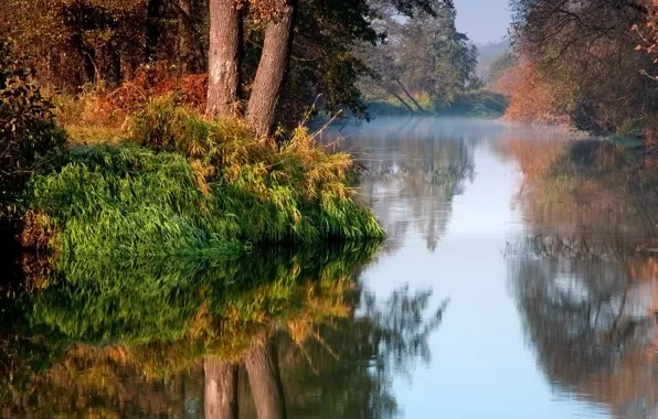 Wallpaper autumn, landscape, nature, fog, river, morning, Poland for ...