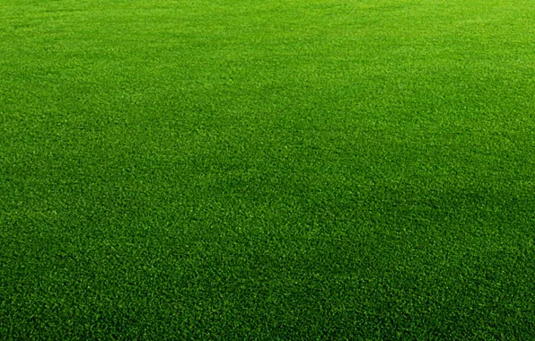 Download wallpaper greens, grass, lawn, section textures in resolution ...