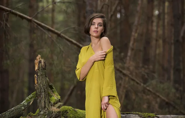 Wallpaper Brunette Dress Dakota A Wearing From Met Art In Forest