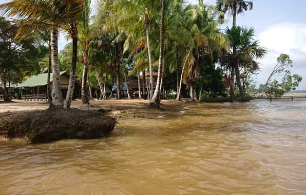 Wallpaper Nature in Suriname, Suriname wallpapers, Overbridge resort ...