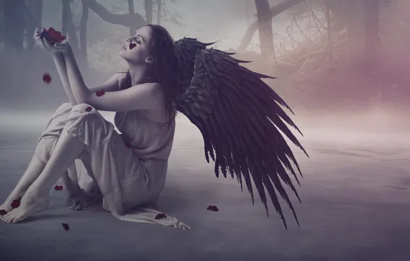 Wallpaper girl, roses, angel, photo art for mobile and desktop, section ...