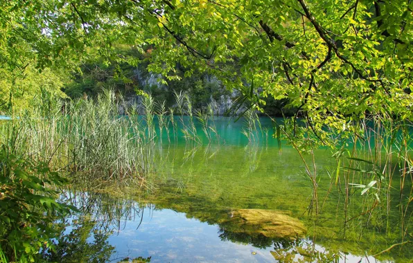 Wallpaper Greens, Spring, River for mobile and desktop, section пейзажи ...