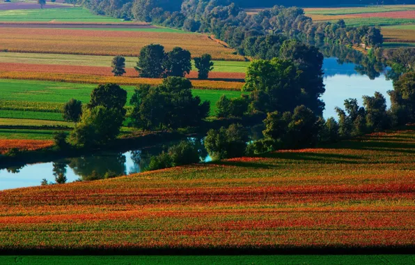 Wallpaper field, nature, river for mobile and desktop, section природа ...
