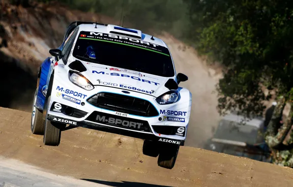 Wallpaper Ford, Jump, Ford, WRC, Rally, Rally, Fiesta, There Miss ...