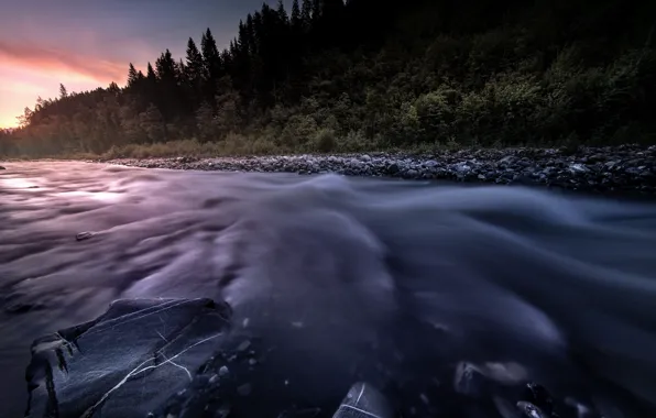 Wallpaper forest, sunset, river images for desktop, section природа ...