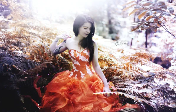 Wallpaper girl, nature, background for mobile and desktop, section ...