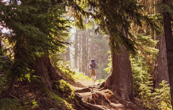 Wallpaper light, forest, person for mobile and desktop, section природа ...
