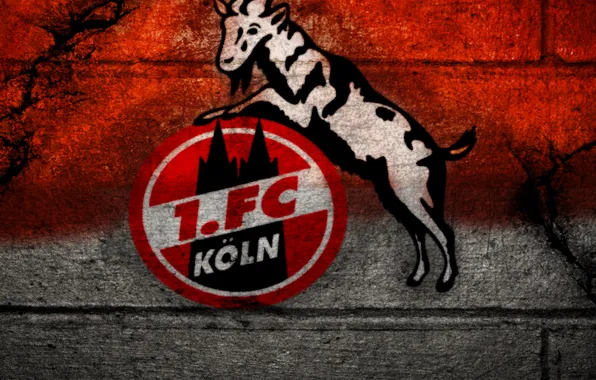 Download wallpaper wallpaper, sport, logo, football, 1. FC Koln ...