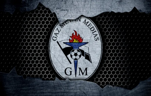 Wallpaper wallpaper, sport, logo, football, The Methane Gas ...