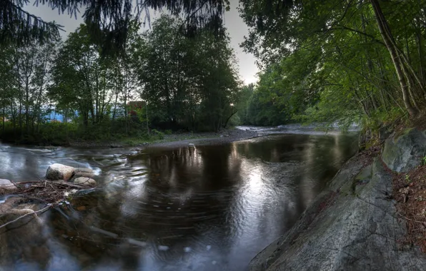 Wallpaper trees, nature, river for mobile and desktop, section природа ...