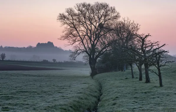 Download wallpaper field, fog, morning, section nature in resolution ...