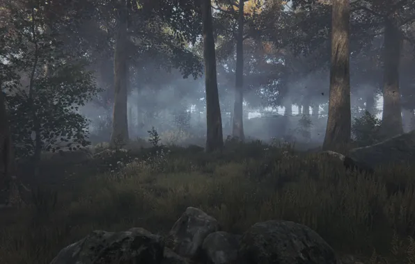 Download wallpaper forest, fog, rendering, nature ., fog in the forest ...