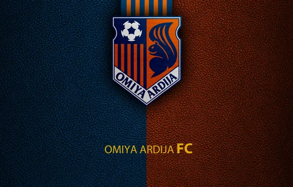 Wallpaper wallpaper, logo, football, Sport, Omiya Ardija for mobile and ...