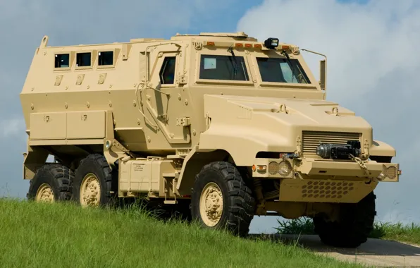 Download wallpaper grass, combat, Caiman, BAE Systems, armored vehicle ...