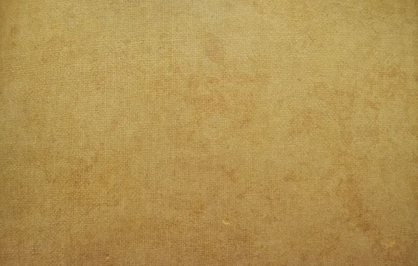 Download wallpaper background, color, texture, section textures in ...