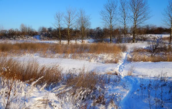 Download wallpaper field, winter, snow, meadow, section landscapes in ...