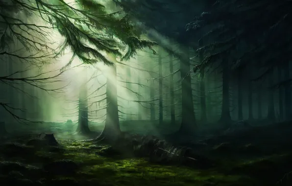 Wallpaper forest, rays, light, trees, thicket, art, Yuri Hill, mars6 ...