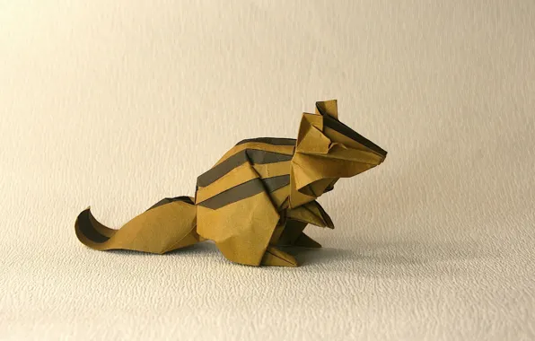 Wallpaper line, shadows, Chipmunk, origami, lines, origami, shadow ...