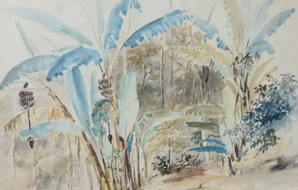 Download wallpaper leaves, nature, figure, watercolor, Bananas, Camille ...