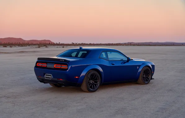 Wallpaper Dodge, Challenger, rear view, Dodge Challenger SRT Hellcat ...