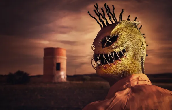 Wallpaper background, mask, Punky Lizard for mobile and desktop ...