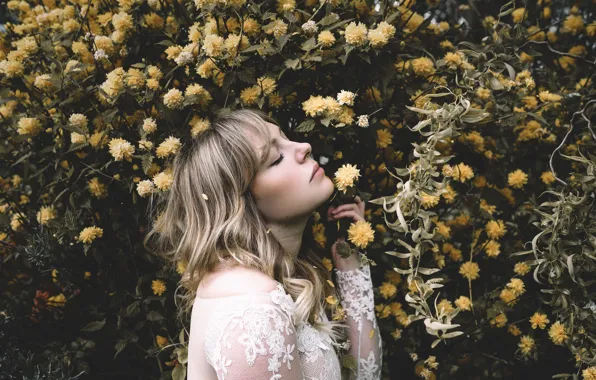 Wallpaper flowers, profile, Alexandra Cameron, Yellow spring for mobile ...