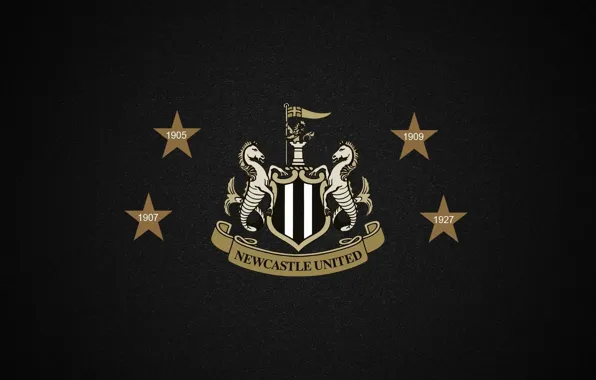 Wallpaper wallpaper, logo, football, England, Champions, Newcastle ...
