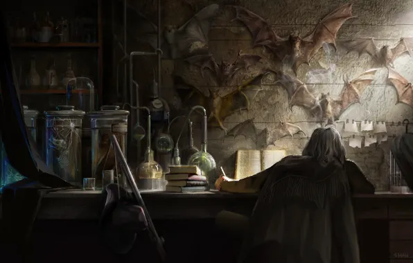 Wallpaper man, book, the room, stuffed, Van Helsing's Lab for mobile ...