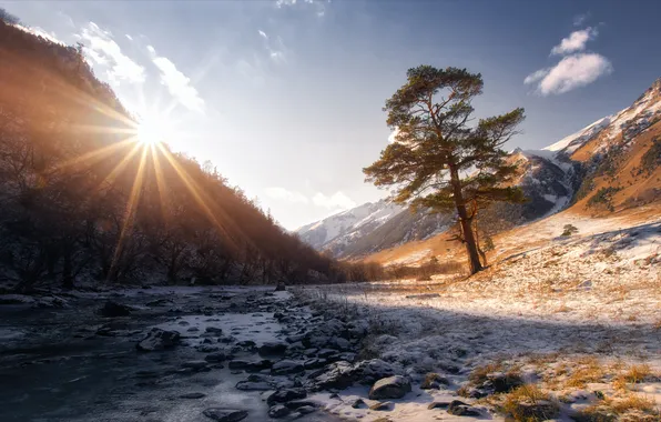 Wallpaper mountains, Cold, Snow, Arbol, Rays of the Sun for mobile and ...
