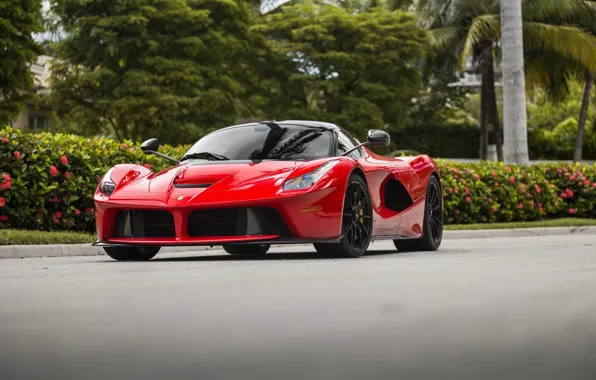 Wallpaper Ferrari, Beautiful, Scuderia, Italia, RED, LaFerrari for ...