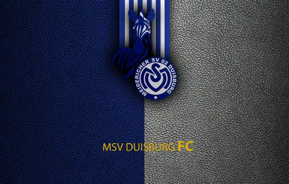 Download wallpaper wallpaper, sport, logo, football, Bundesliga, MSV ...